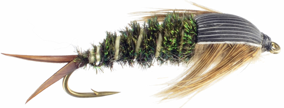 Twenty Incher Peacock Nymph | Fly Fishing Flies For Less | DiscountFlies