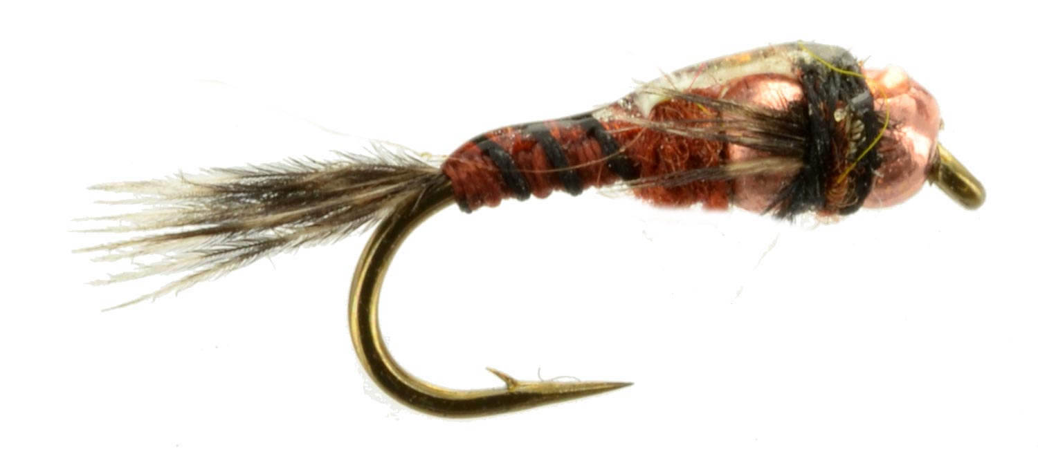 Two Bit Hooker - Brown