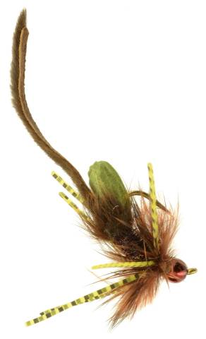 Sundgaard's Voodoo Dog - Olive/Brown